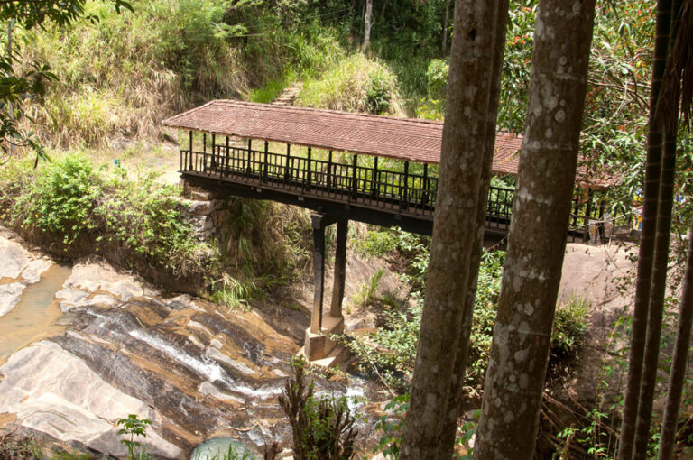 Gampola Kingdom - The Golden Era of Sri Lanka's Traditional Carvings