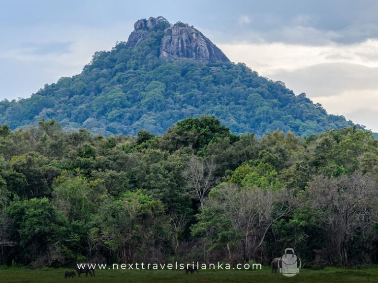 Gal Oya National Park | Travel Destination Sri Lanka