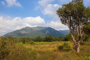 Ritigala Mountains | Travel Destination Sri Lanka