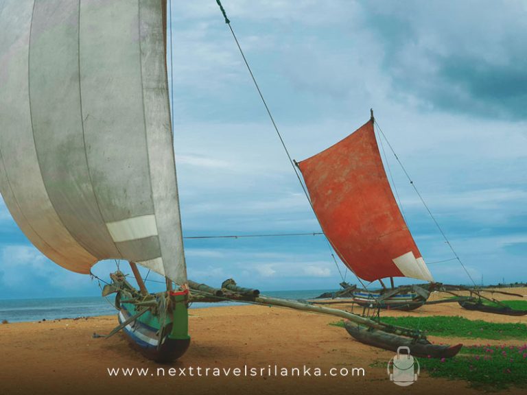 Waikkala, the Beautiful Coastal Town | Travel Destination Sri Lanka